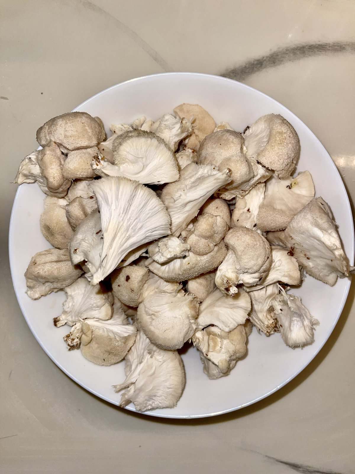 Vegan Mushroom Filipino Adobo - Make Pure Thy Heart